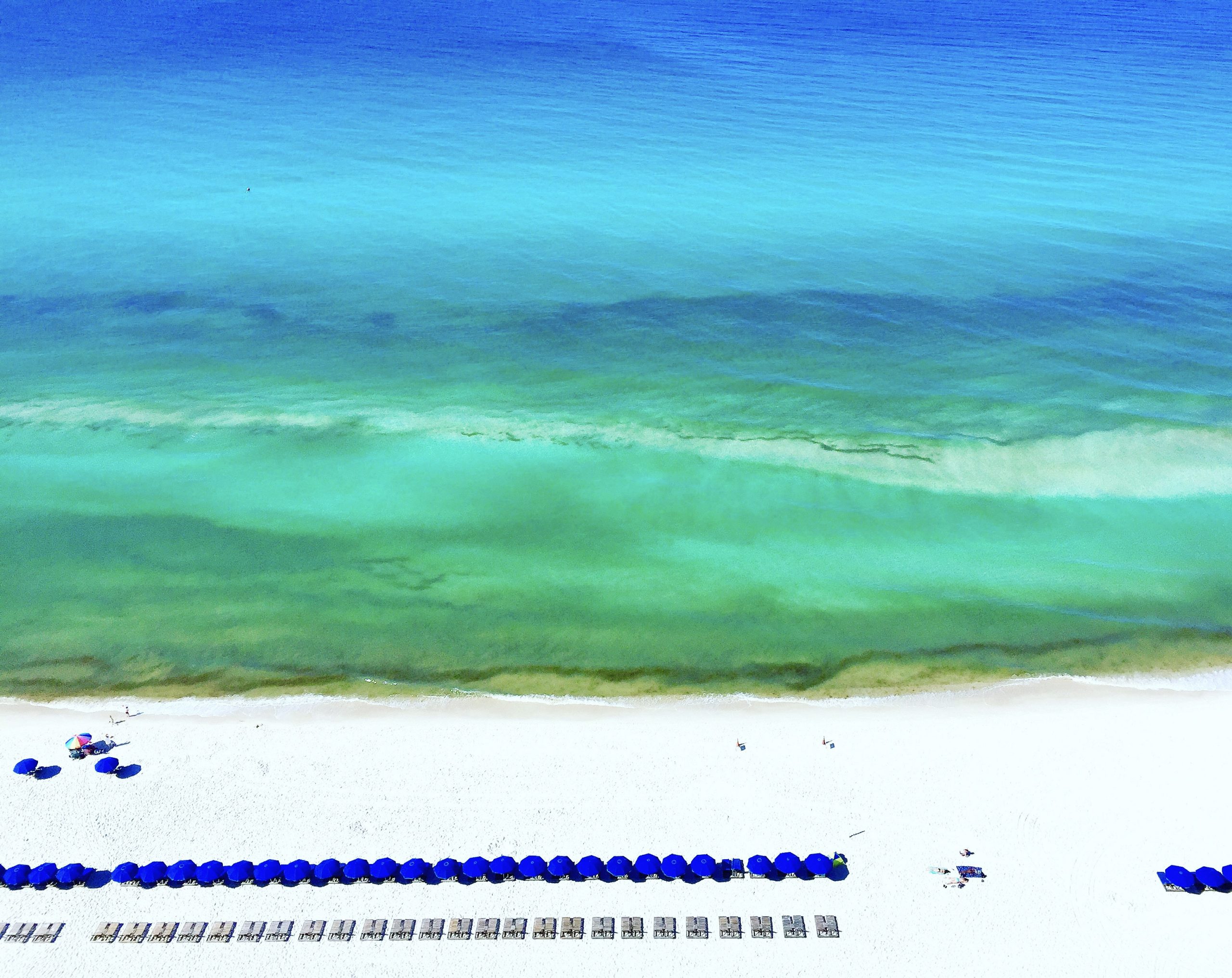 Best Beaches In Florida February