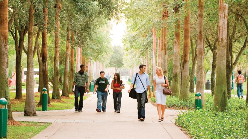 Florida's 10 Most Beautiful College Campuses - Florida Rentals Blog