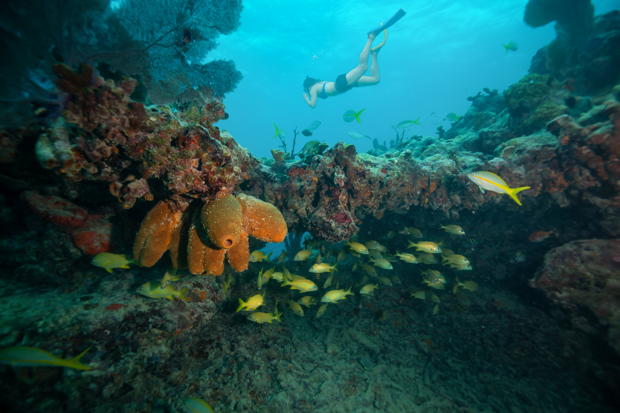 5 Best Snorkeling Spots in the Florida Keys - Florida Rentals Blog