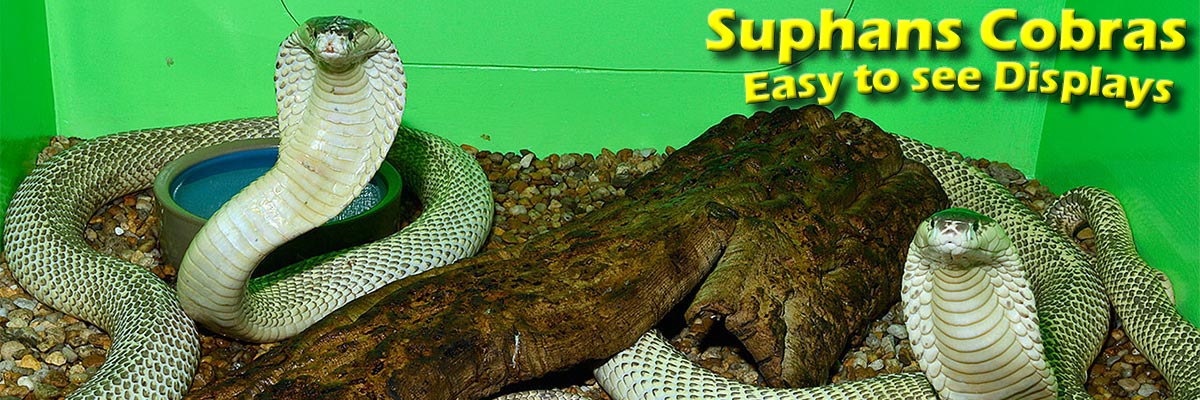 Florida's 11 Most Unique Attractions To Visit On Your Next Trip ...