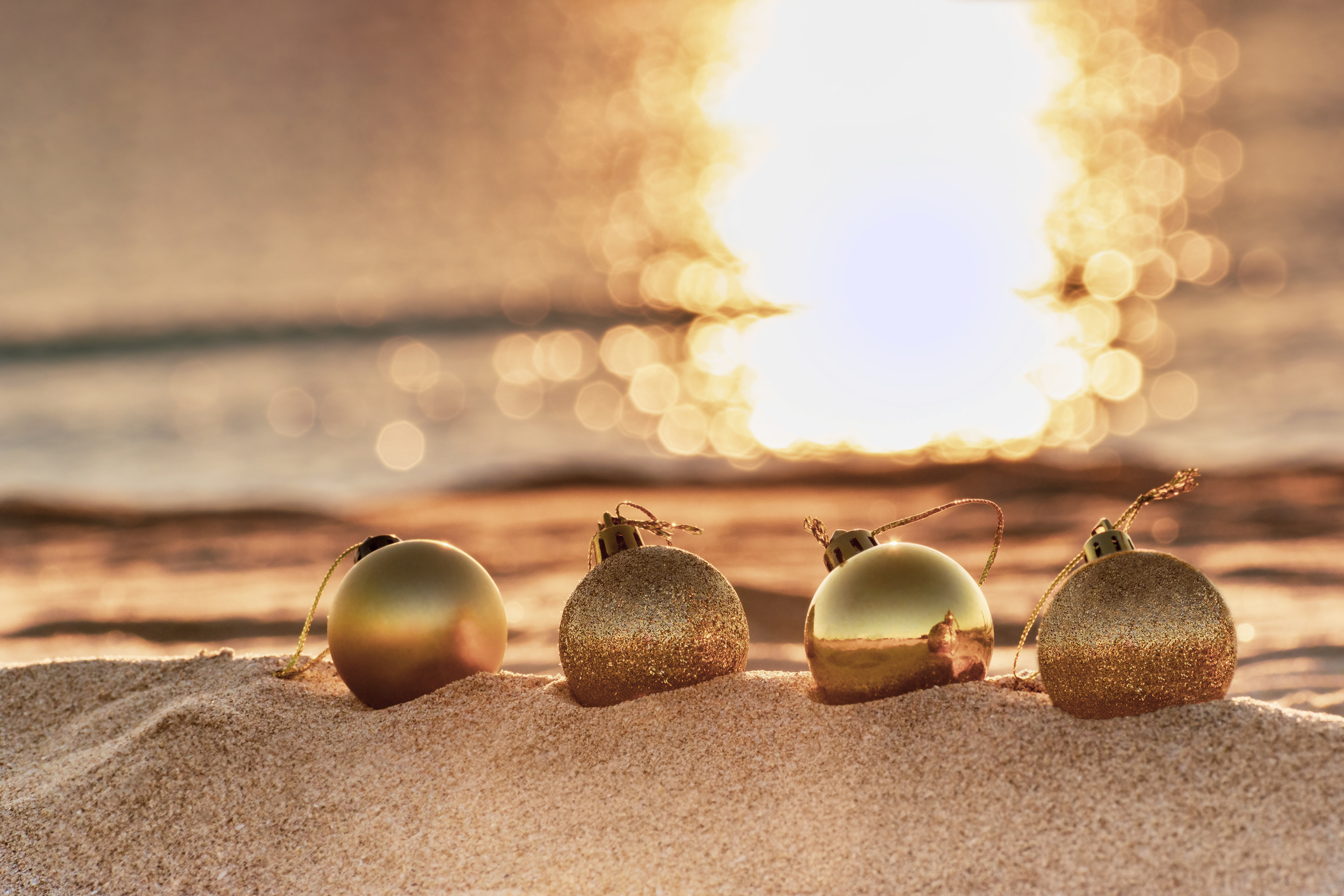 Florida's Top Winter Activities for 2023/2024 - Florida Rentals Blog