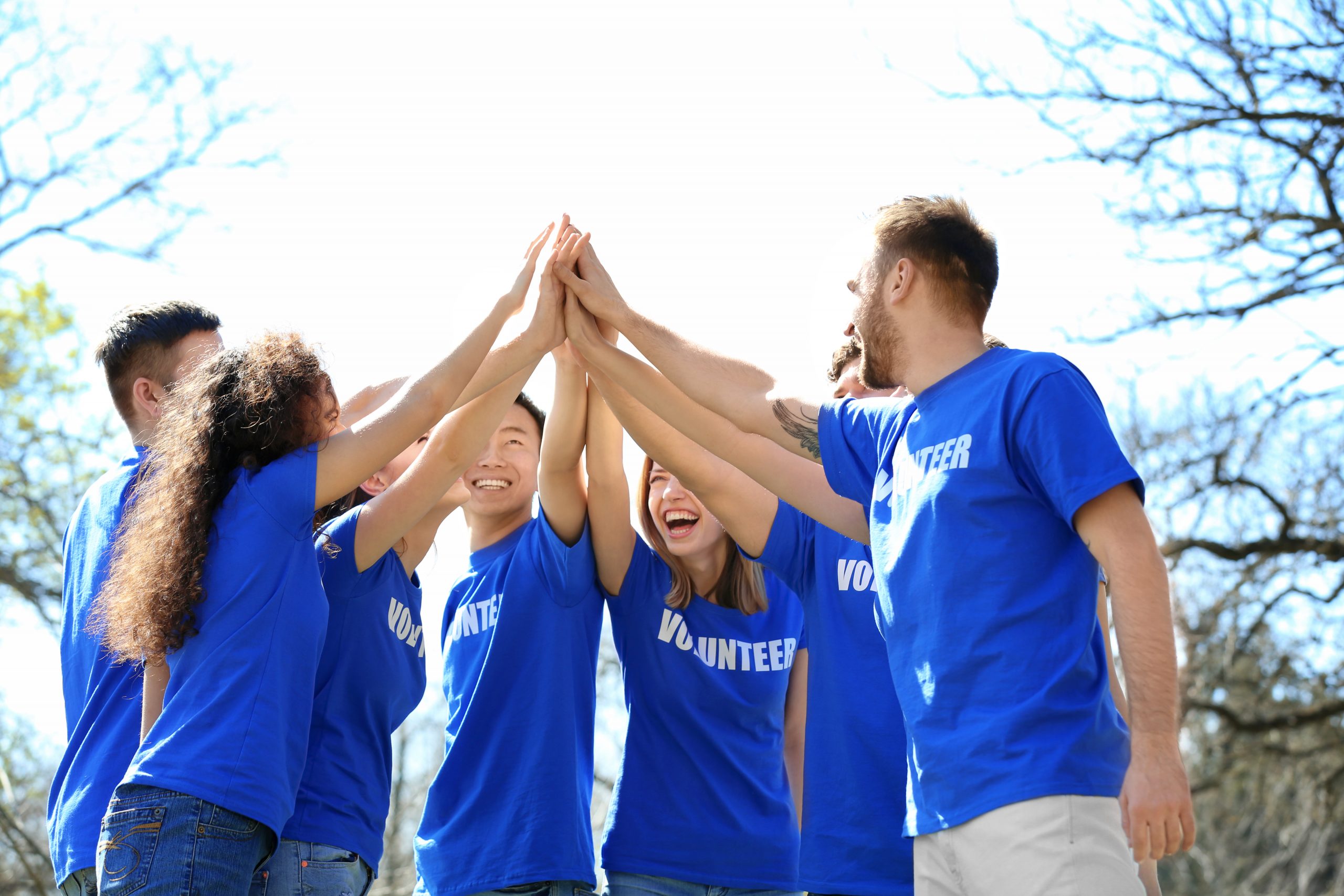 Top 11 Volunteer Opportunities in Florida - Florida Rentals Blog