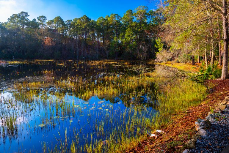 9 Amazing Eco-Friendly Attractions in Florida - Florida Rentals Blog